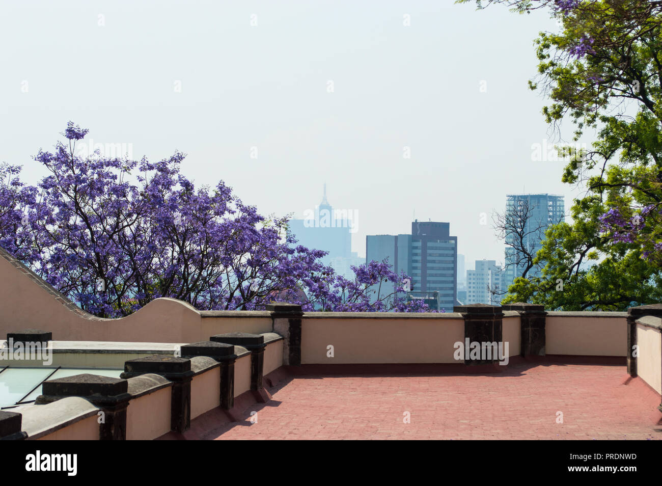 View from top of Chapultepec castle with city Skyline including the ...