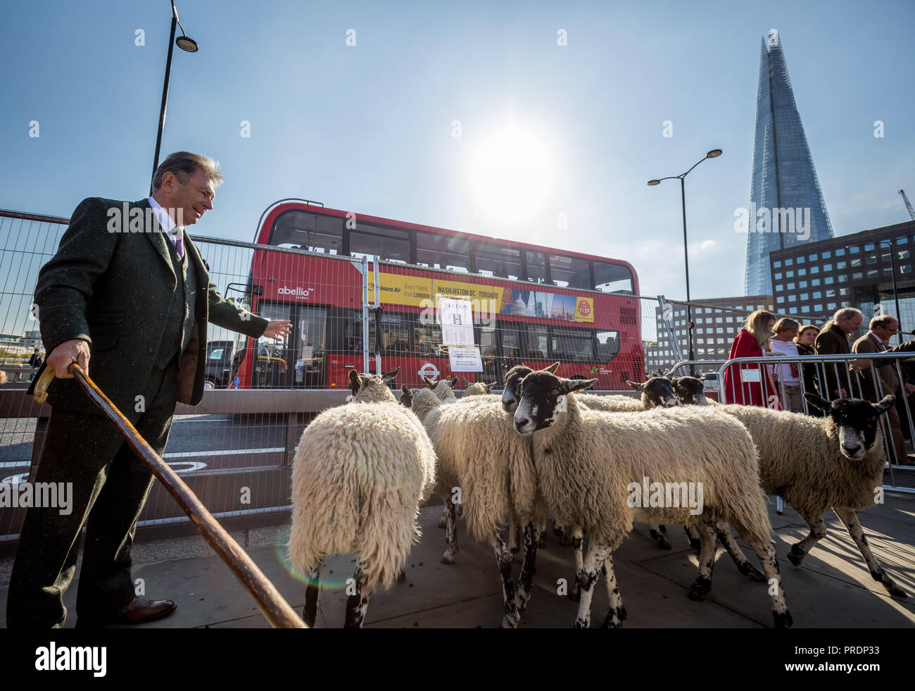 Sheep and the shard hi-res stock photography and images - Alamy