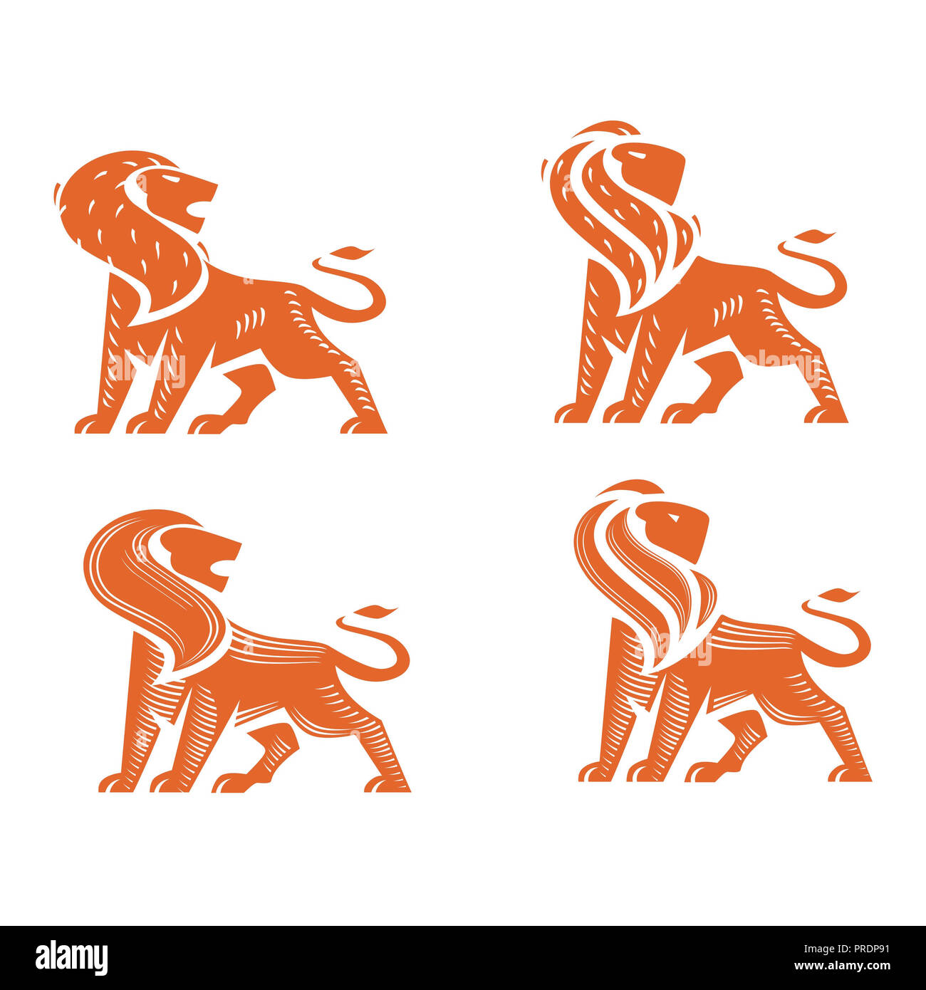 Four lions on white background Stock Photo - Alamy