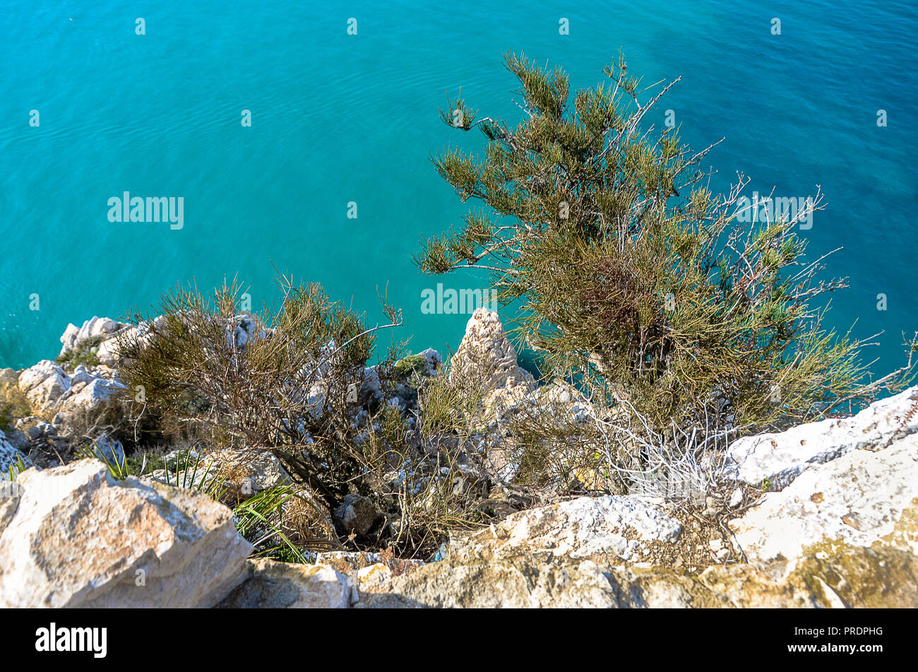 El jebha hi-res stock photography and images - Alamy