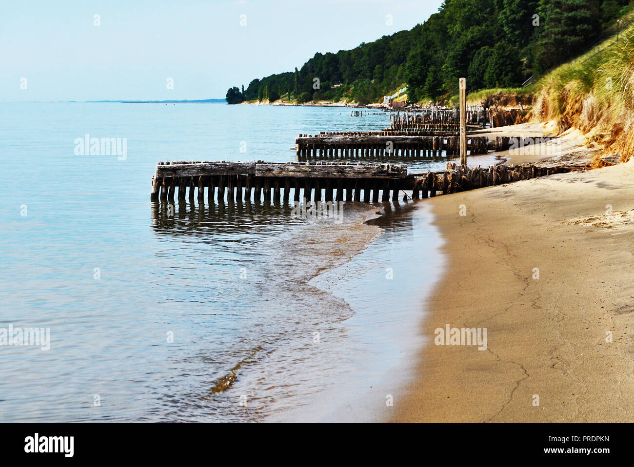 Sandy Shoreline. Piles of Old Piers in the Bay on Lake Michigan Beach ...