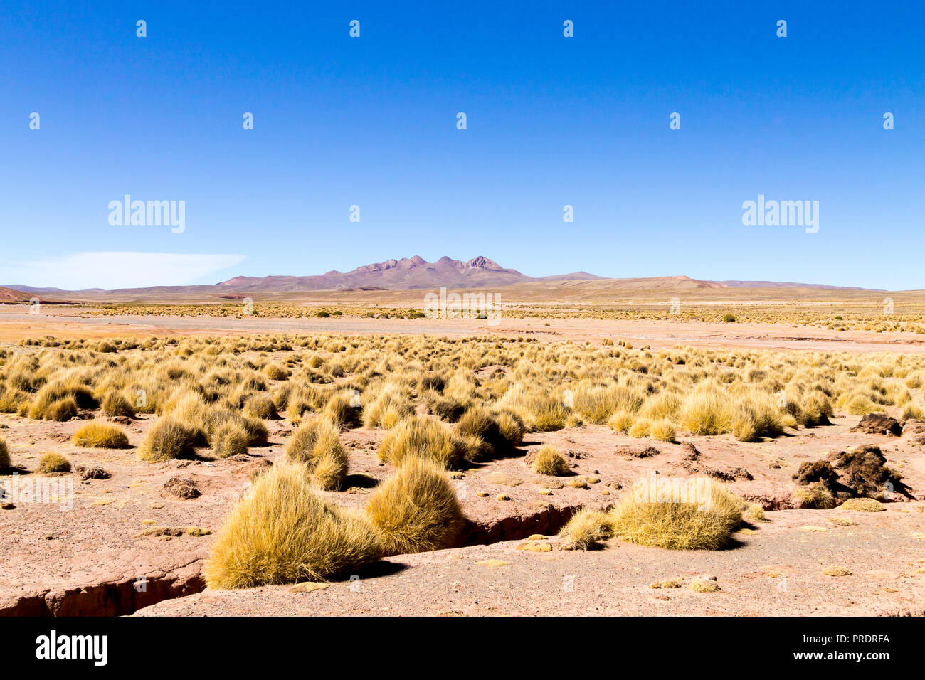 Bolivian mountains landscape,Bolivia.Andean plateau view Stock Photo ...