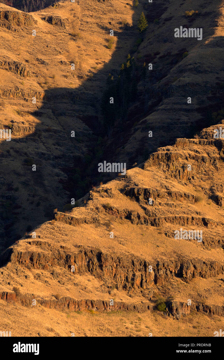 Grizzly Ridge slope, Hells Canyon National Recreation Area, Imnaha Wild ...