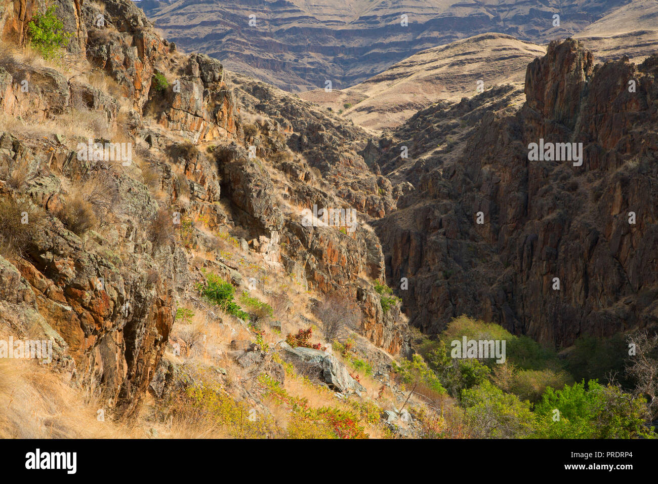 Canyon wall from Imnaha River Trail, Imnaha Wild and Scenic River, Hells Canyon National ...