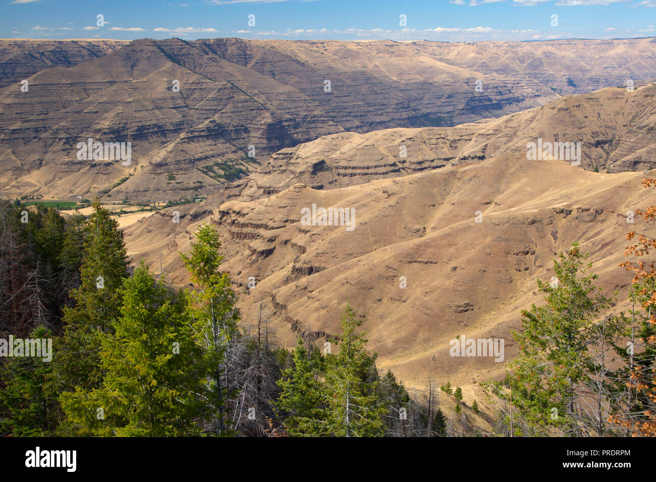 Imnaha River canyon from Five Mile Overlook, Hells Canyon National Recreation Area, Oregon Stock ...