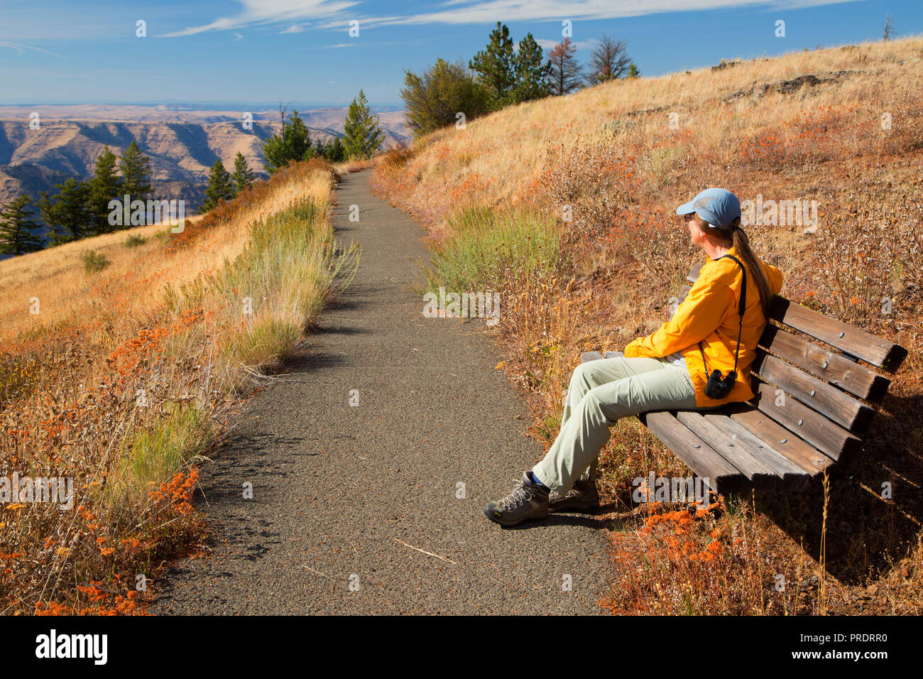 Bench along Nature Trail at Granny View Overlook, Hells Canyon National ...