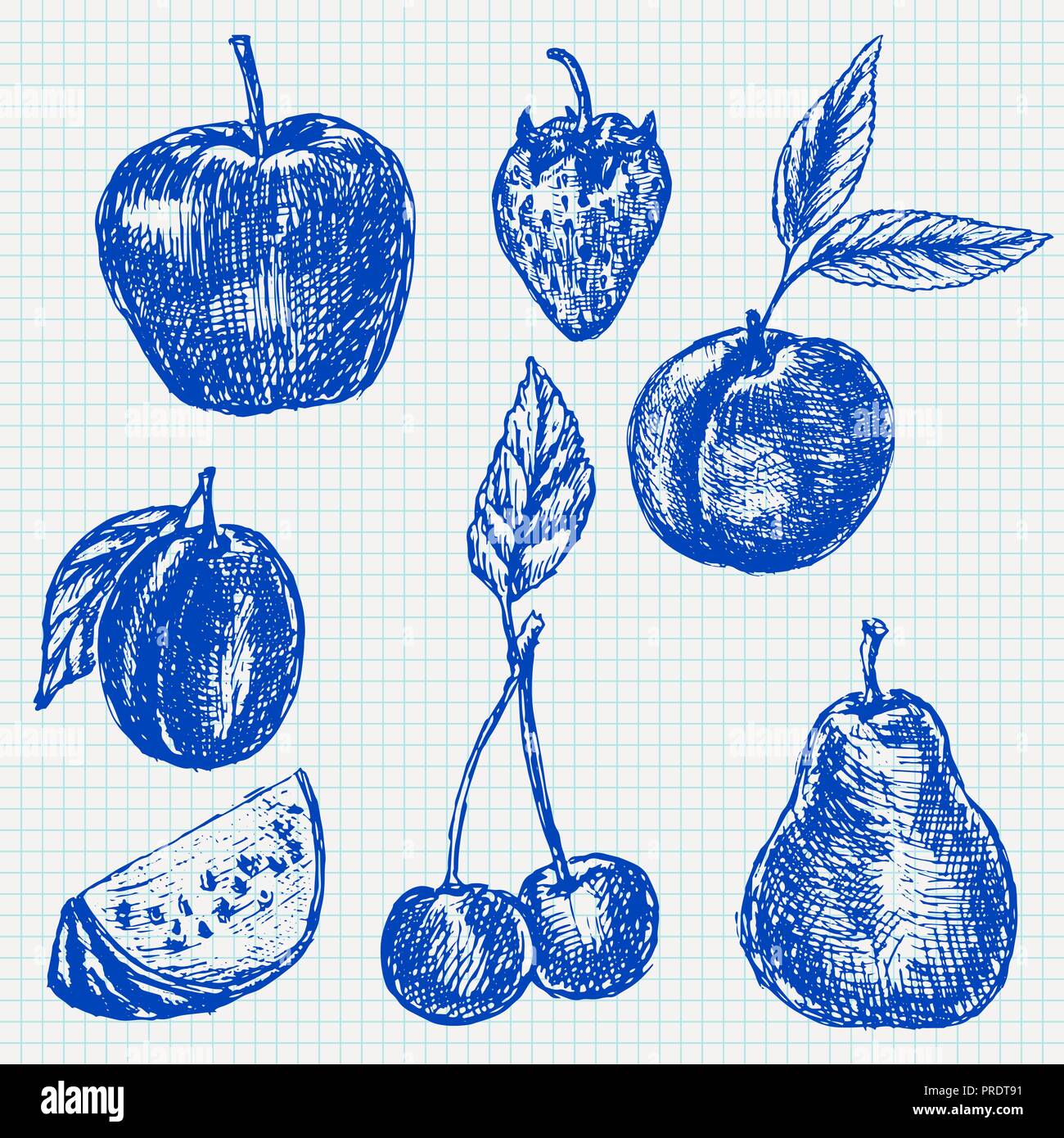 Fruits. Blue hand drawn sketch on lined paper background Stock Vector ...