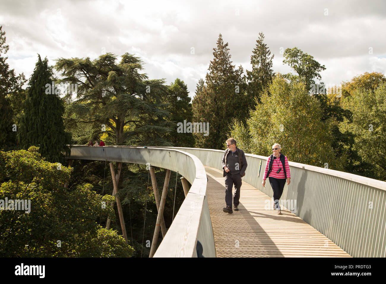 Westonbirt arboretum aerial hi-res stock photography and images - Alamy