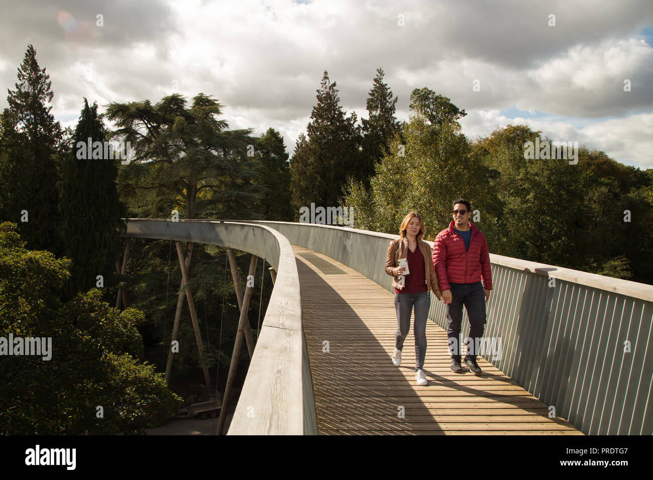 Westonbirt arboretum aerial hi-res stock photography and images - Alamy