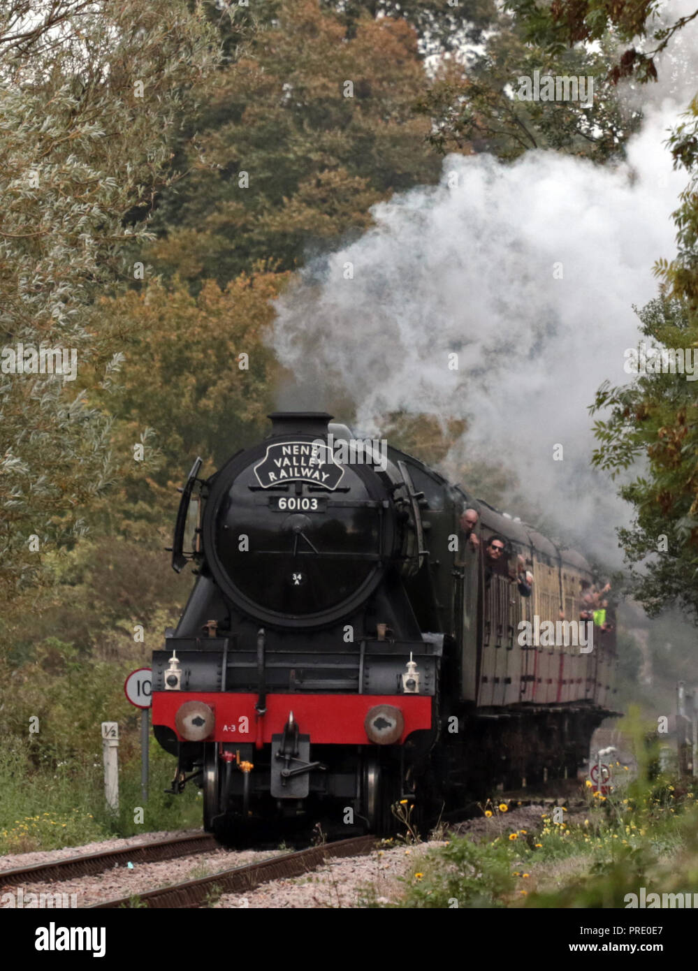 Flying scotsman 60103 steam train locomotive hi-res stock photography ...