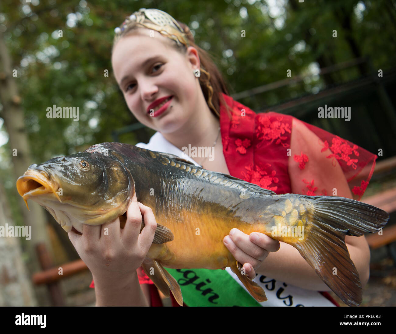 Lisa fish hi-res stock photography and images - Alamy