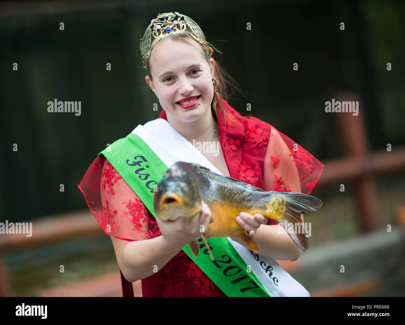 Lisa fish hi-res stock photography and images - Alamy