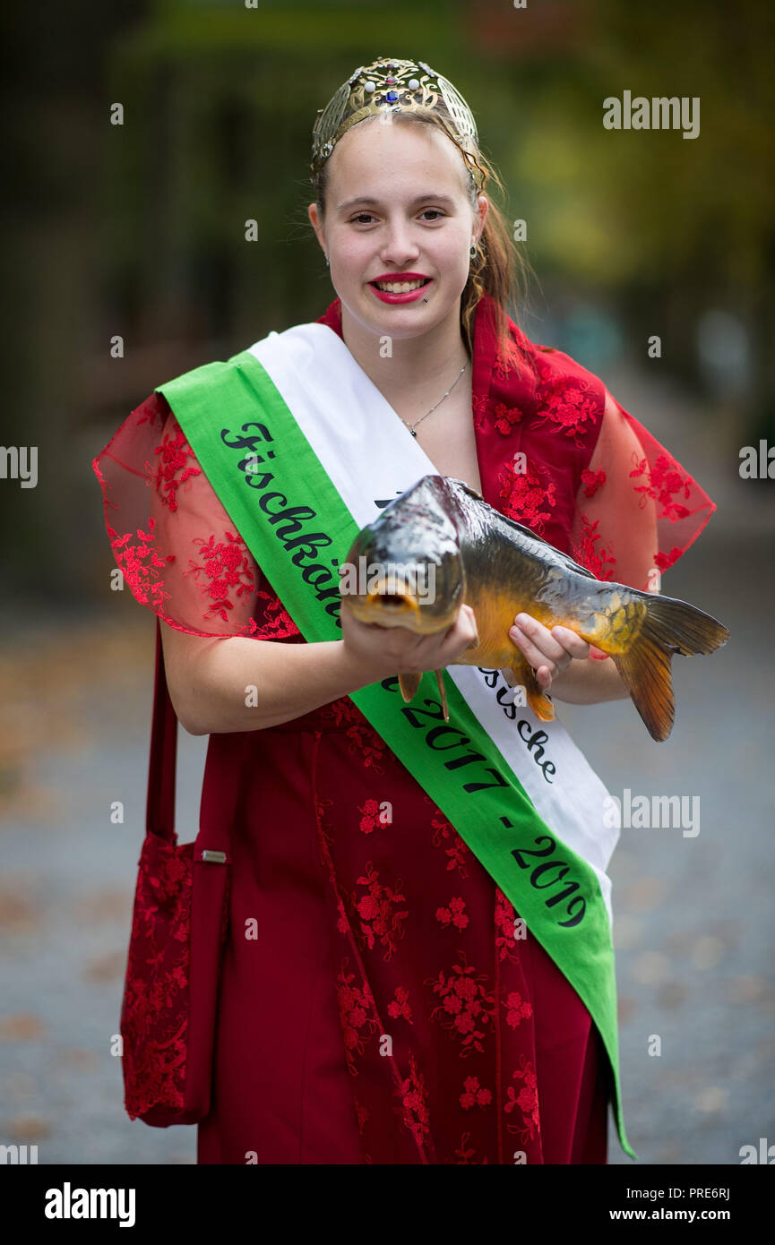 Lisa fish hi-res stock photography and images - Alamy