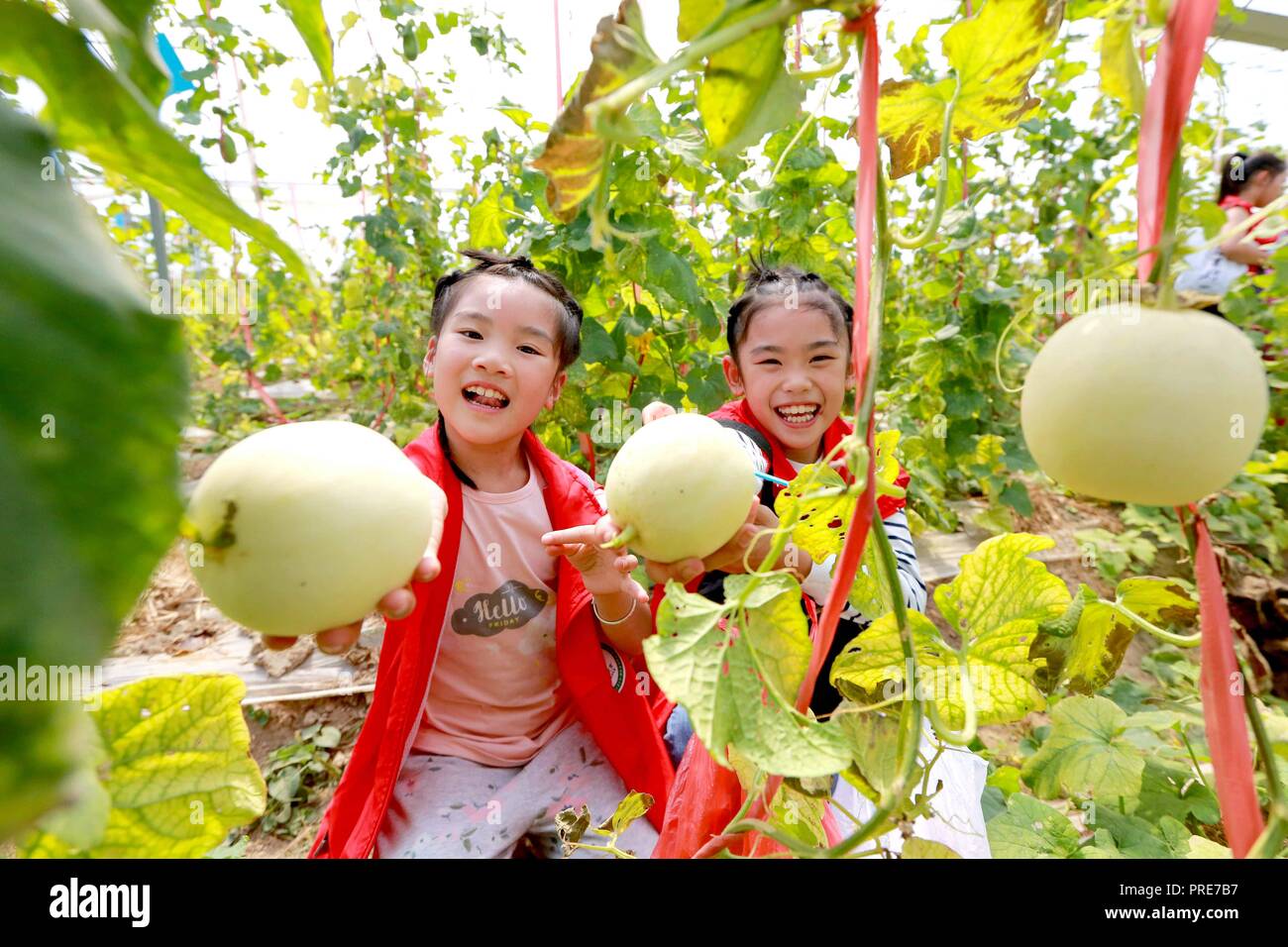 Agricultural demonstration zone hi-res stock photography and images - Alamy