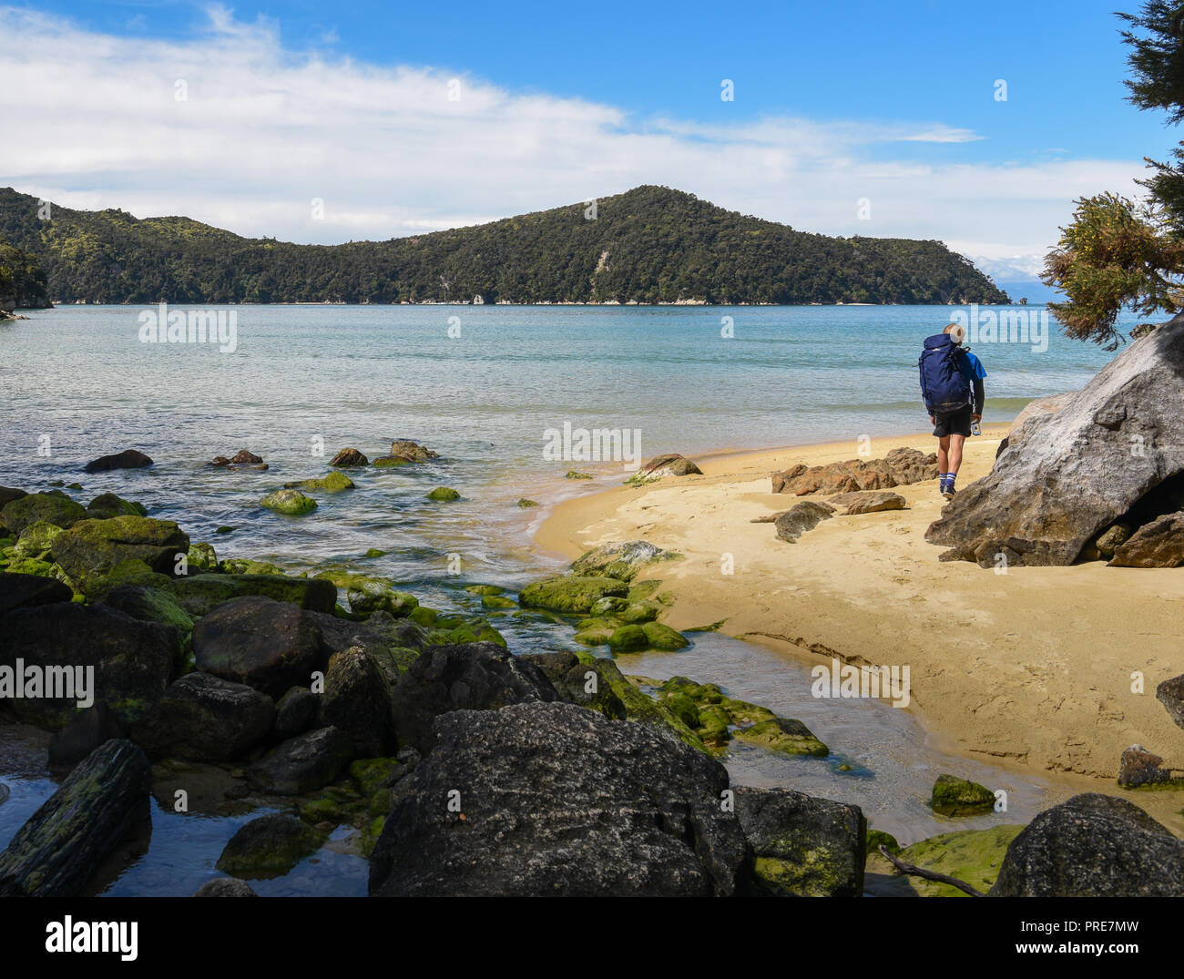 Wellington. 1st Oct, 2018. A traveller walks at the Stilwell Bay in ...
