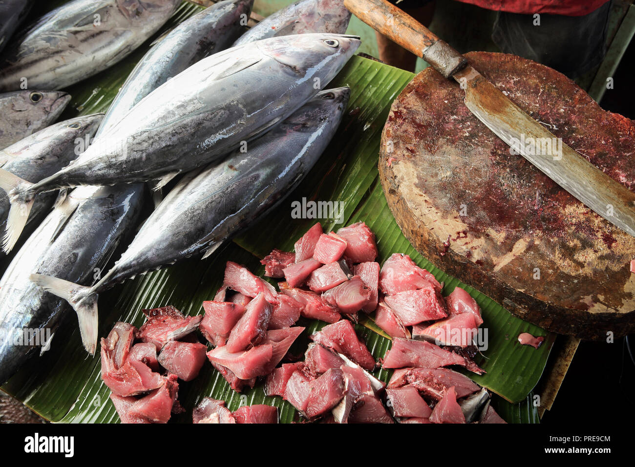 Fresh tuna for sale at market in Tomohon, Sulawesi, Indonesia Stock ...