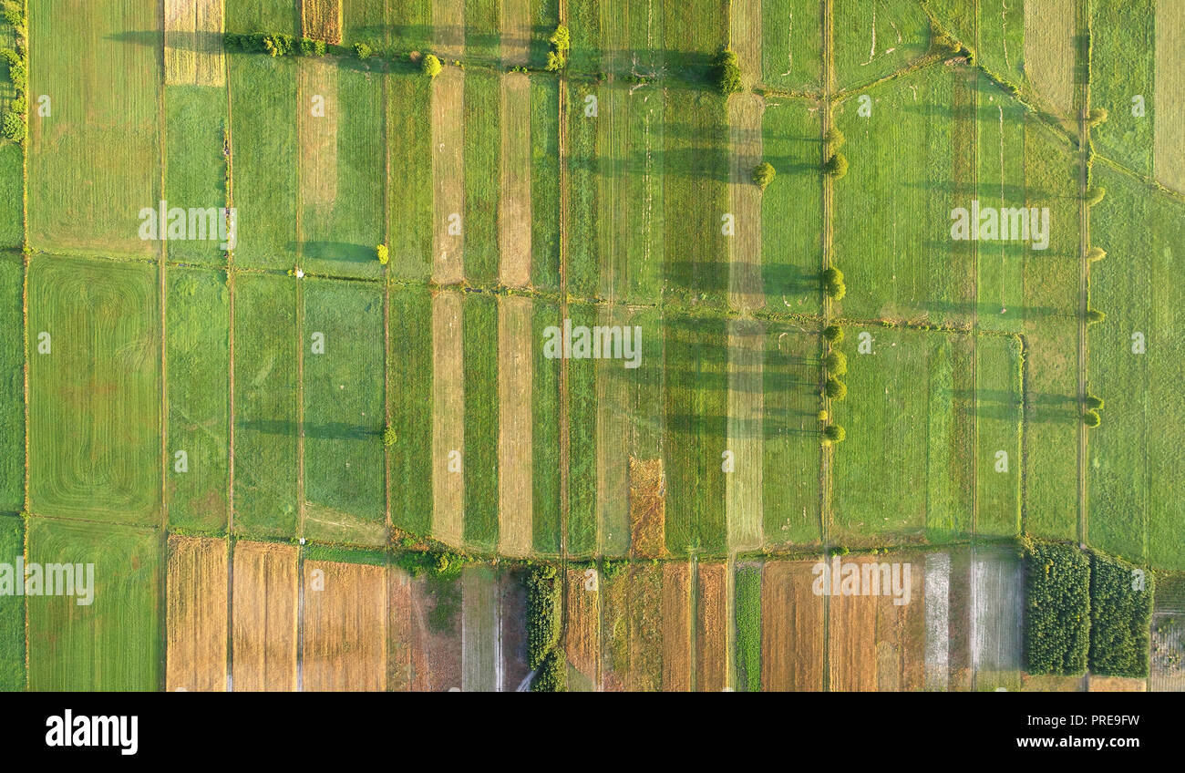 Aerial landscape from drone - summer fields and meadows Stock Photo - Alamy