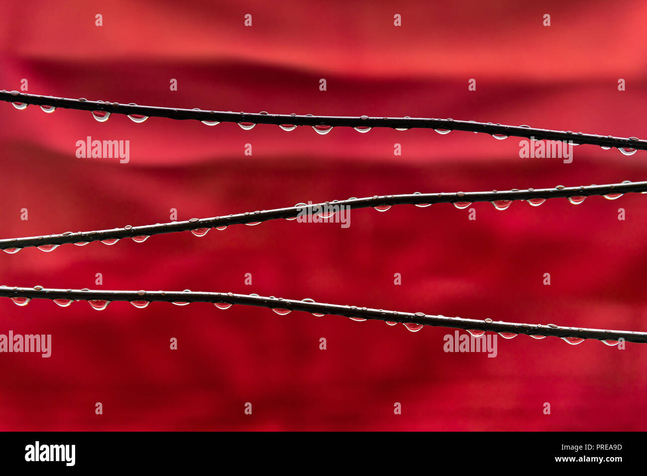 Raindrops on the wire with red background Stock Photo - Alamy
