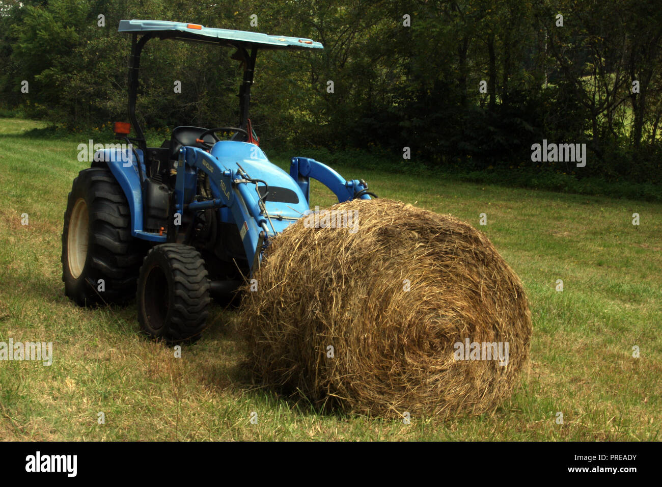 Tractor loading hay bales hi-res stock photography and images - Alamy