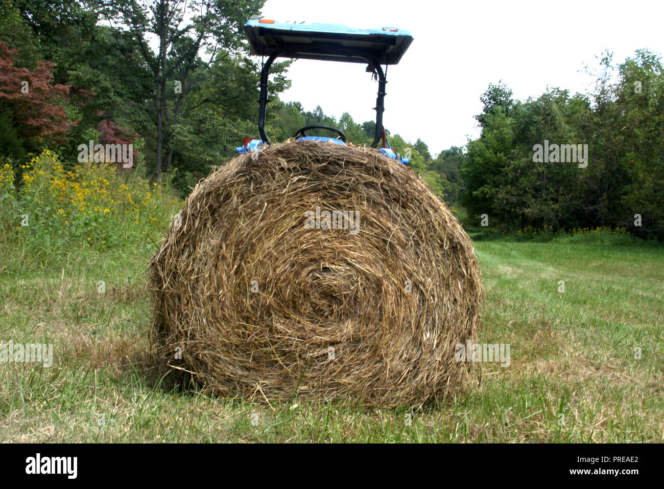 Small bales hi-res stock photography and images - Alamy