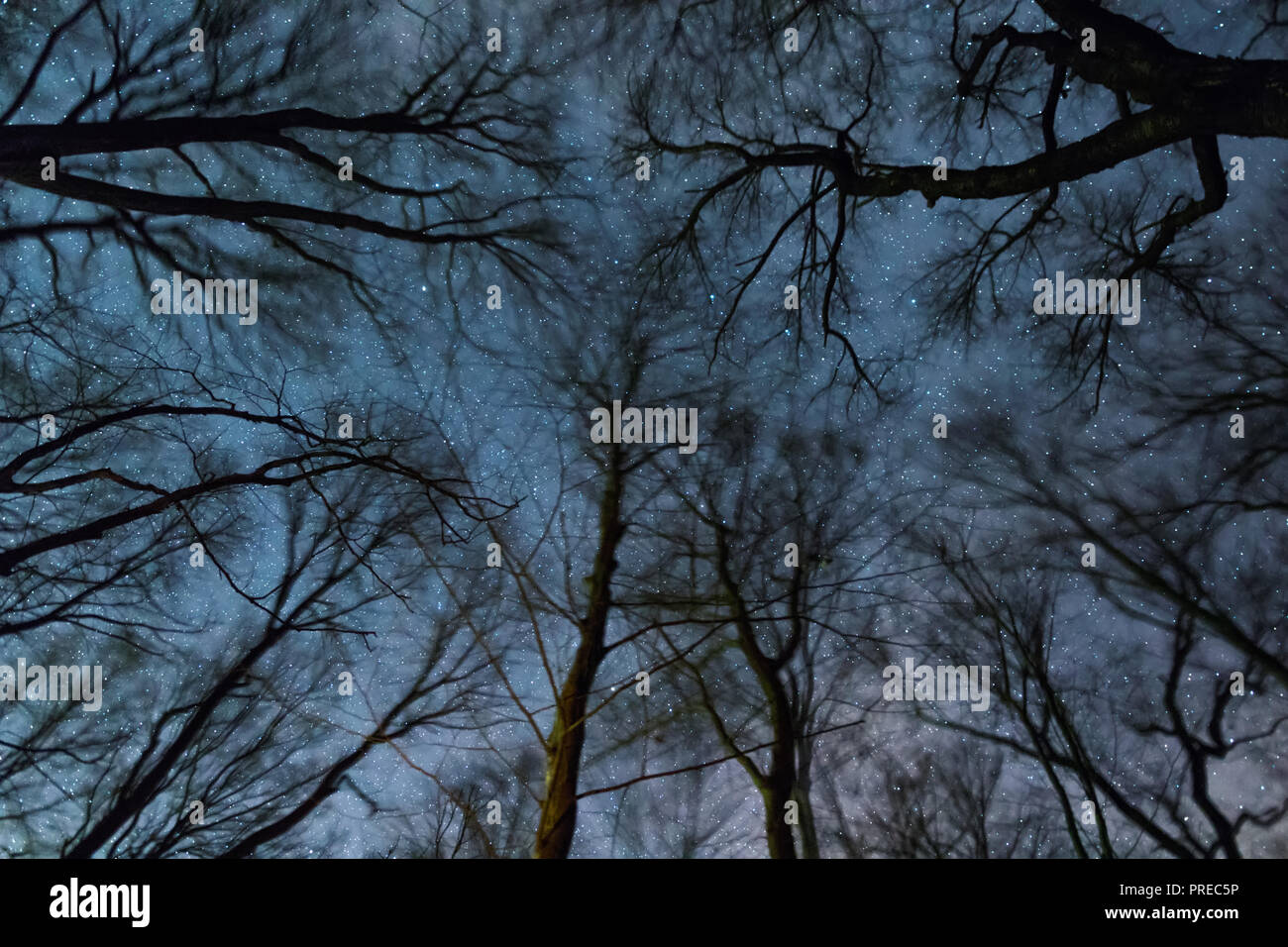 Windy night hi-res stock photography and images - Alamy