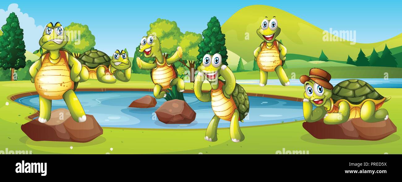 Turtles in pond scene illustration Stock Vector Image & Art - Alamy