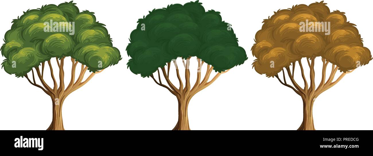 Set of different colour of tree illustration Stock Vector Image & Art ...