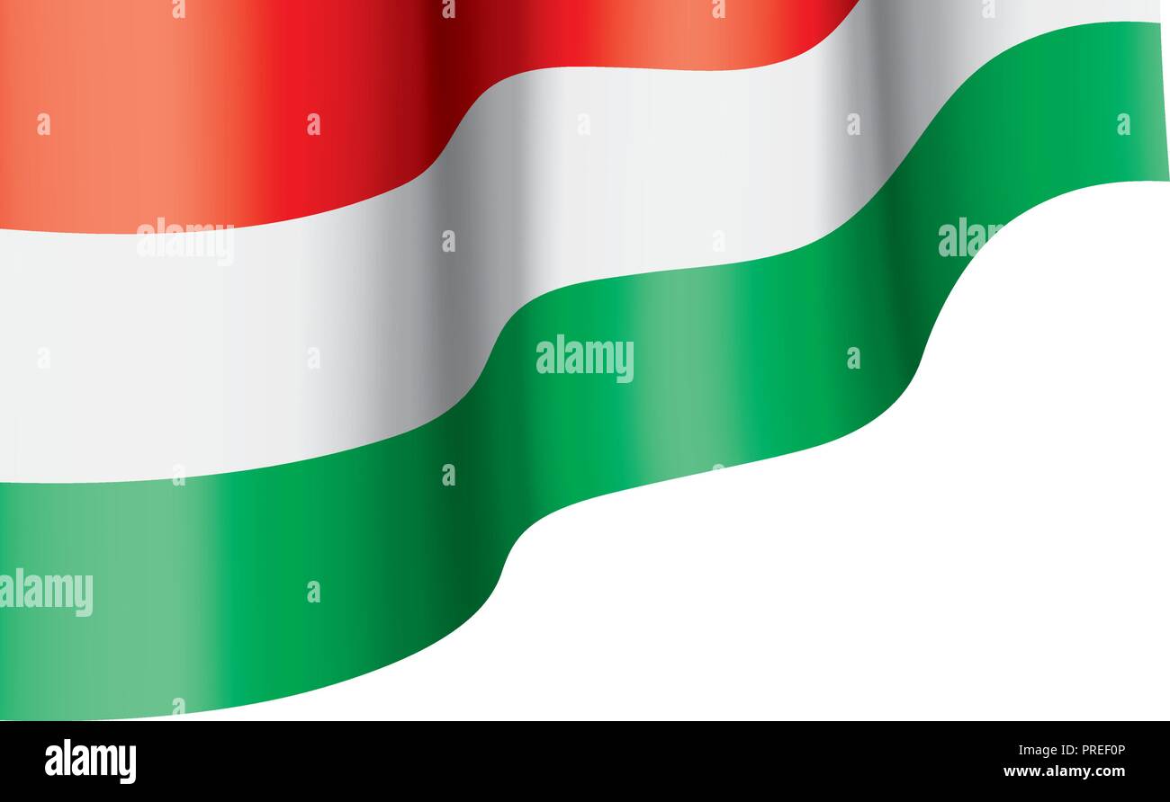 Hungary flag, vector illustration on a white background Stock Vector ...