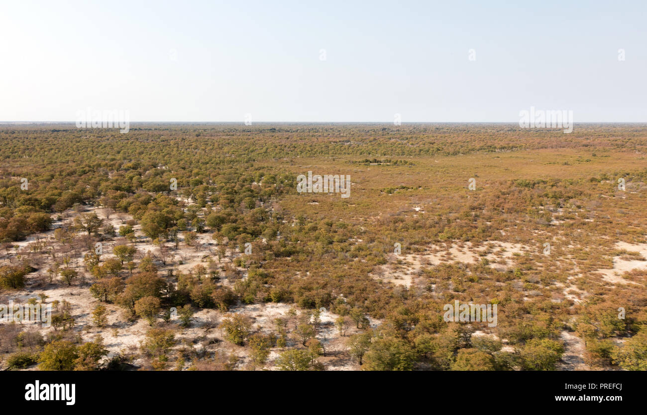 Okavango Delta aerial view, Botswana's stunning landscape Stock Photo ...