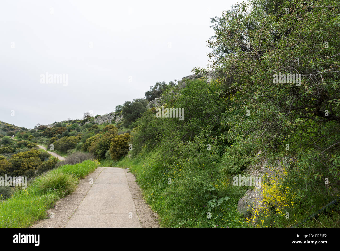 Mycenae archaeological site in Greece, Europe Stock Photo - Alamy