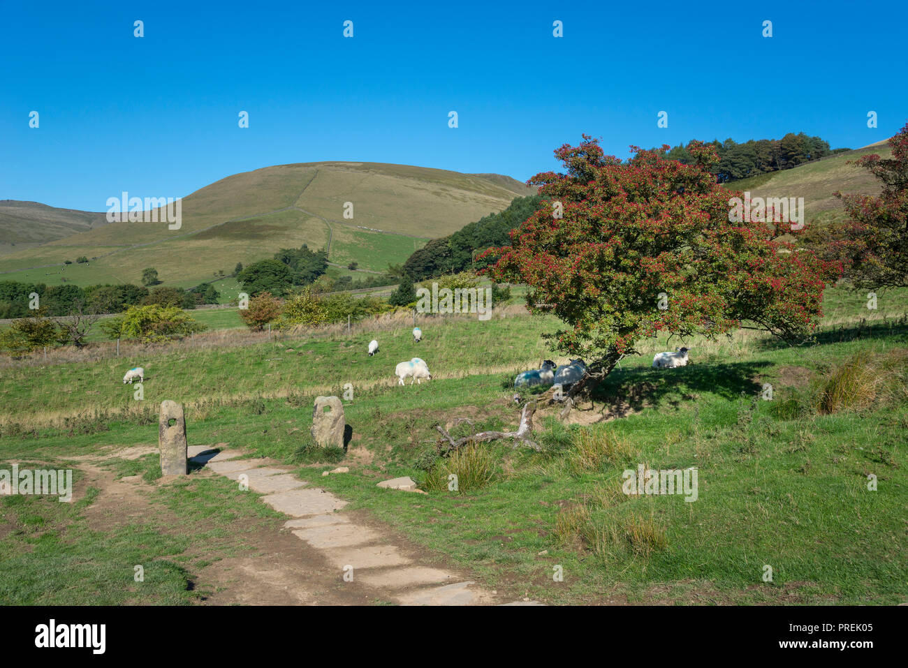 The Pennine Way between Edale and Barber Booth in the Peak District ...
