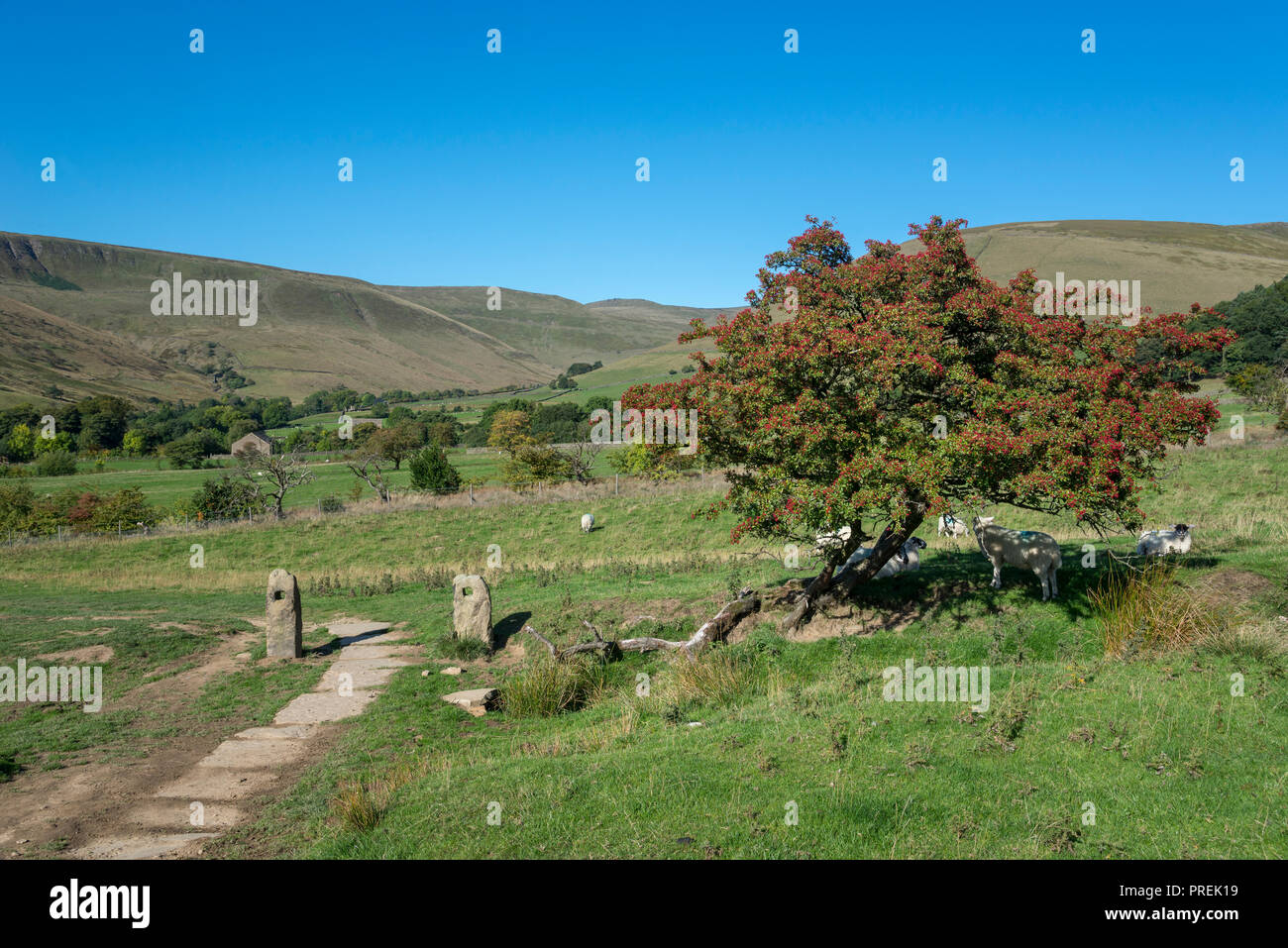 The Pennine Way between Edale and Barber Booth in the Peak District ...