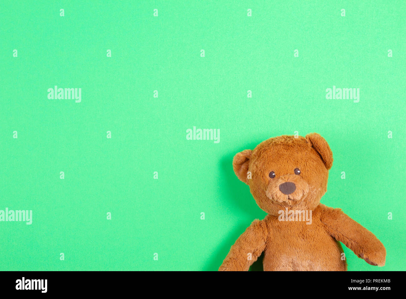 Teddy bear toy on green background Stock Photo - Alamy