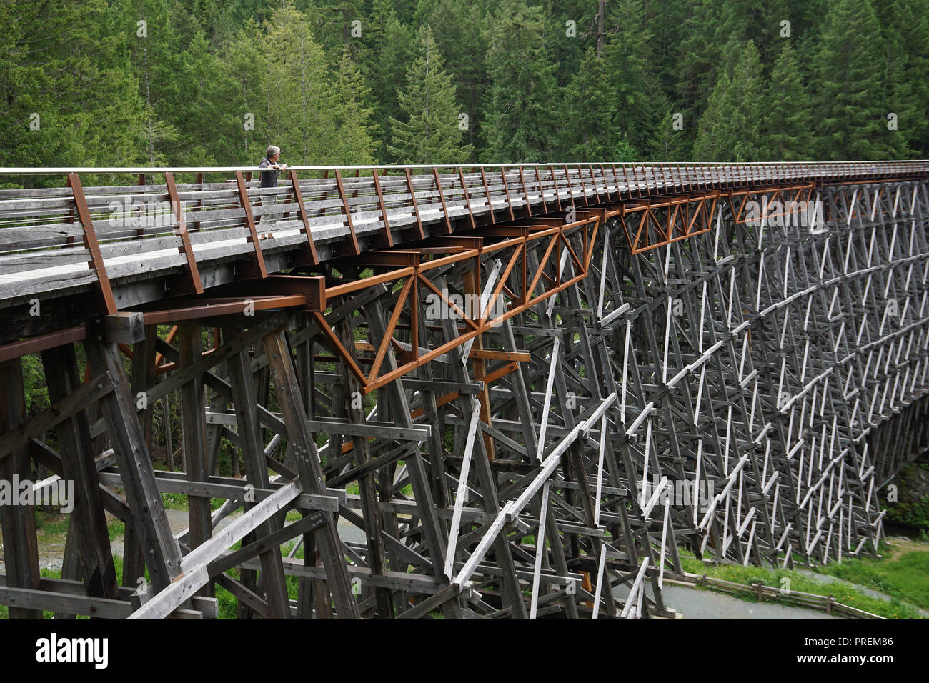 Kinsol trestle british columbia canada hi-res stock photography and ...