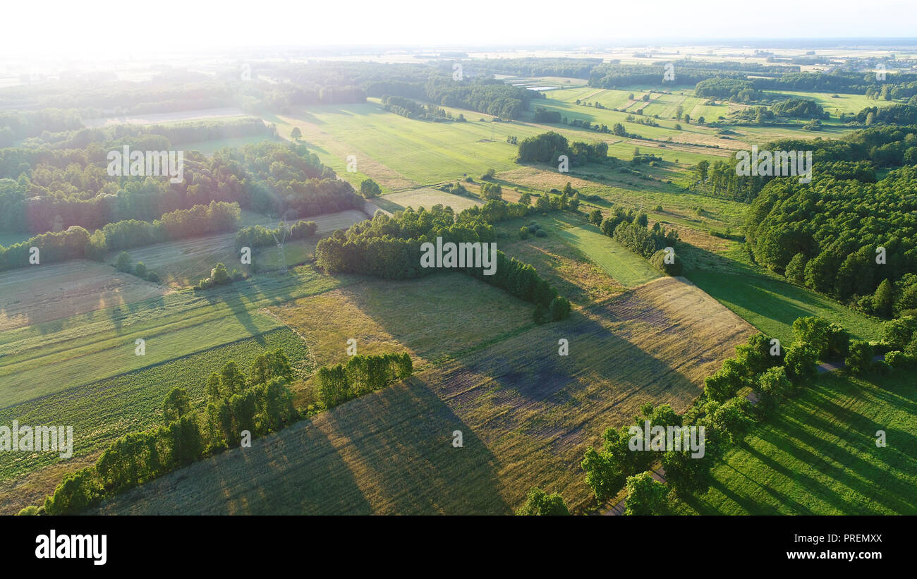 Aerial shot colourful beautiful forest hi-res stock photography and ...