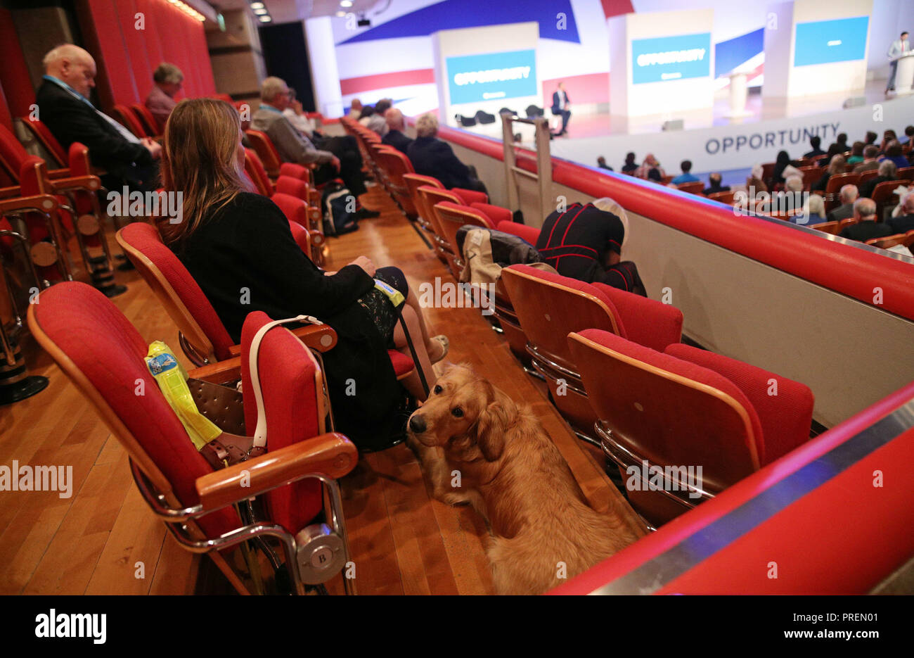 Guide dog uk 2018 hi-res stock photography and images - Alamy