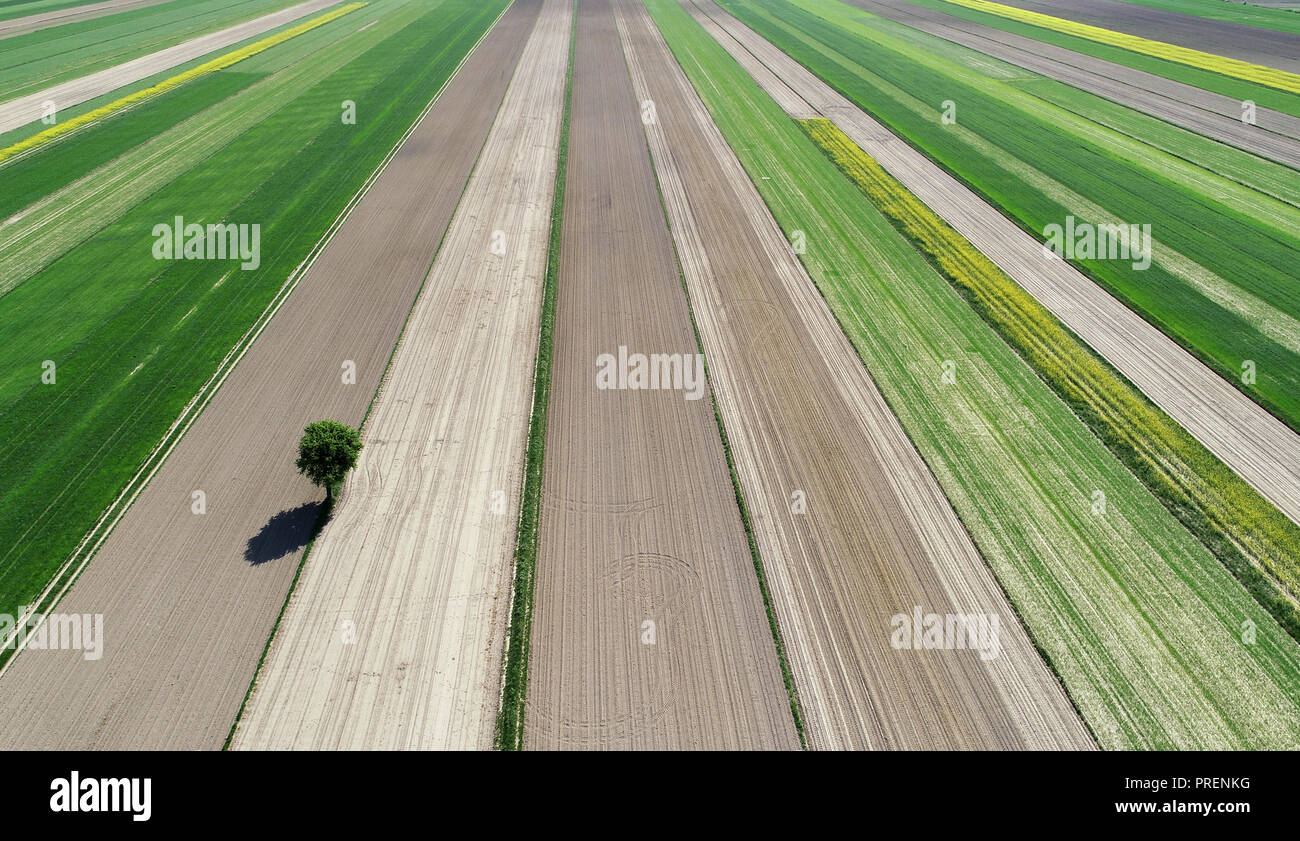 aerial shot from the drone - spring fields Stock Photo - Alamy