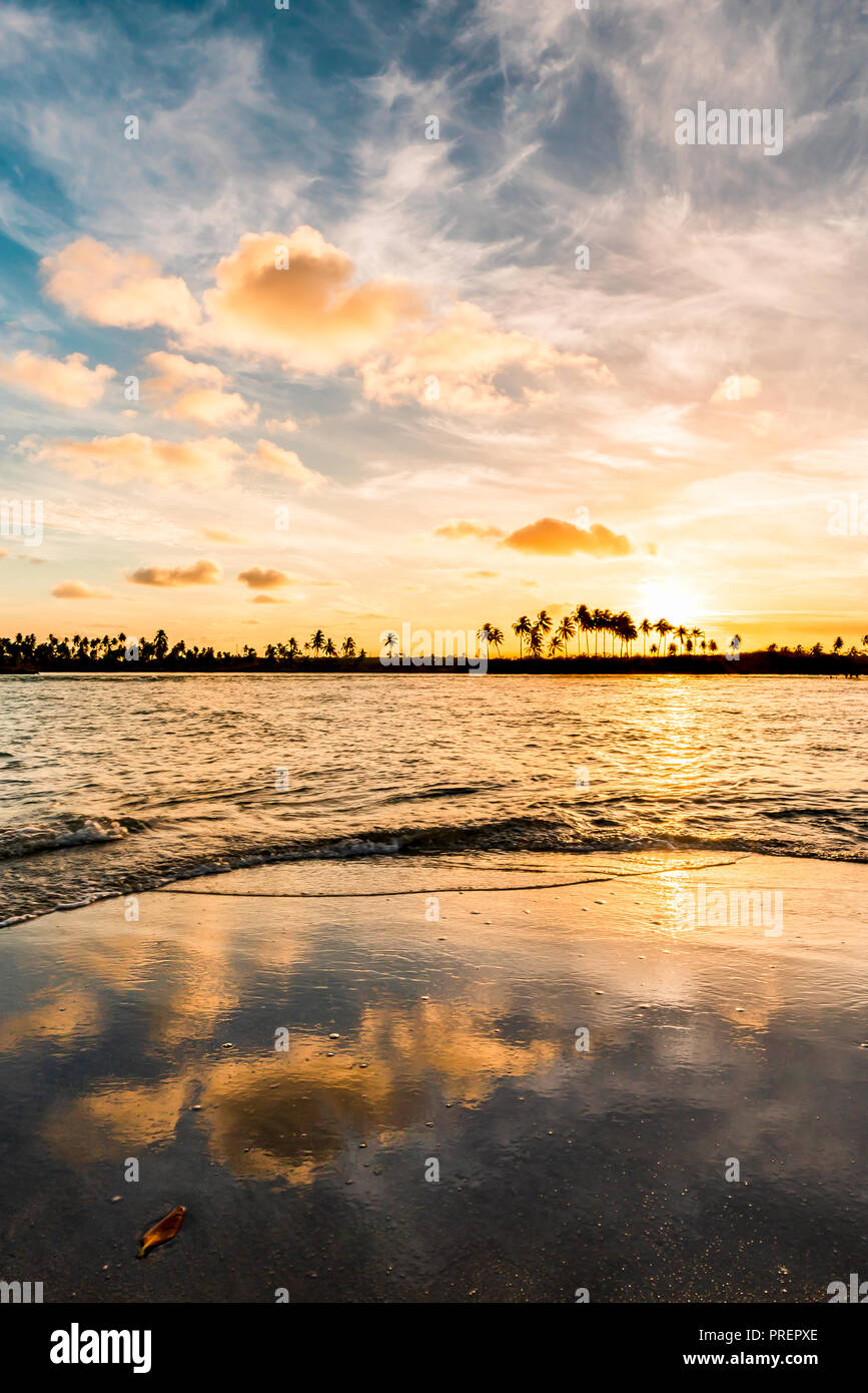 Scenic Tropical Sunset at Maracaipe Beach with sky reflections on the ...