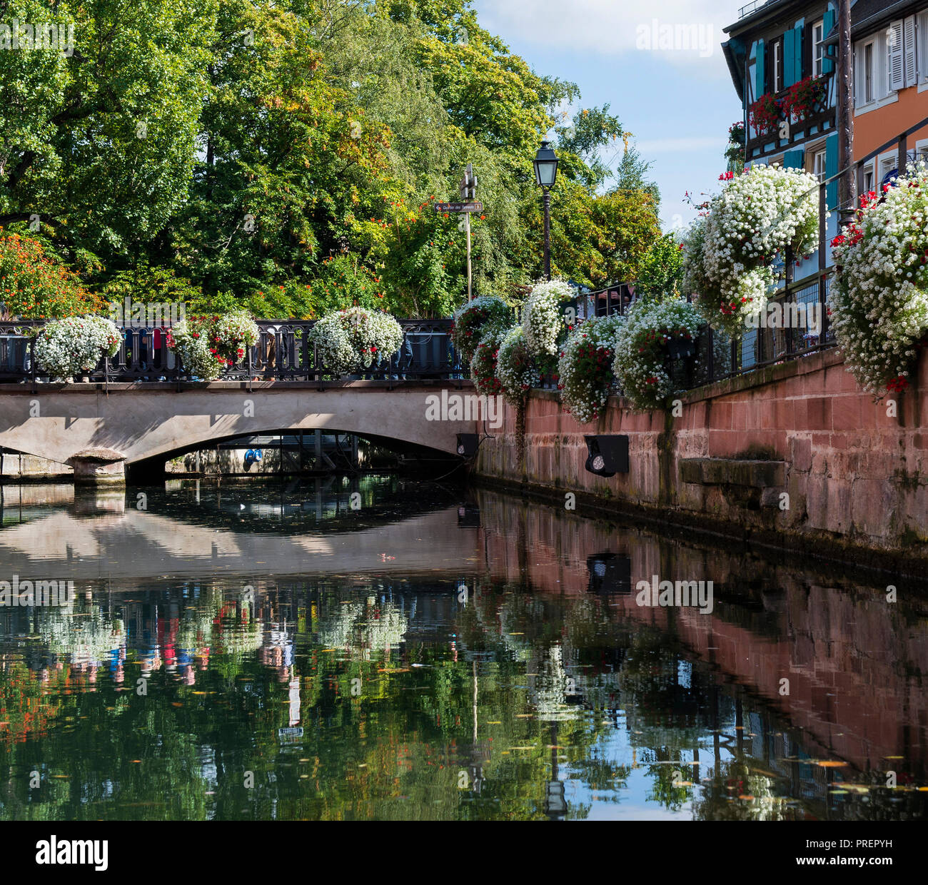 Canals of Colmar is a town in Alsace region. Its old town has ...