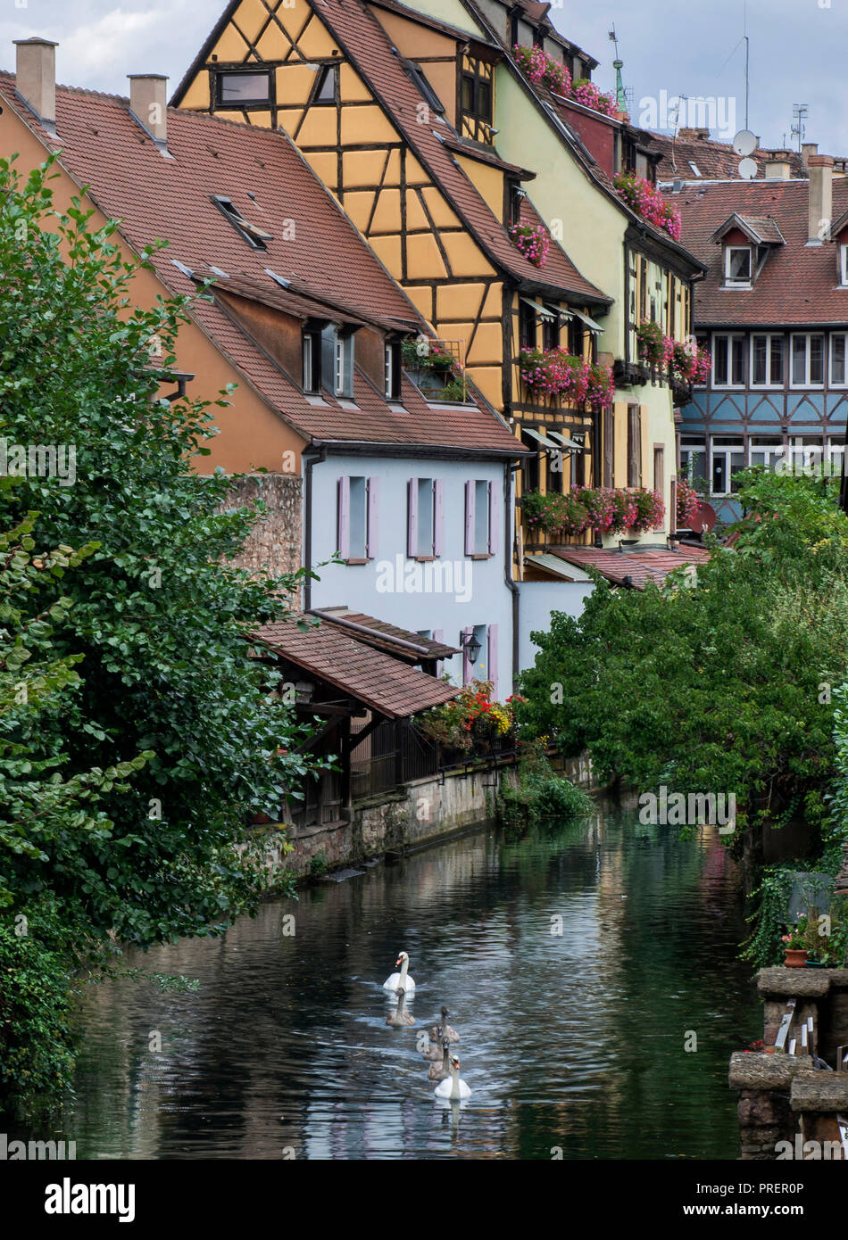 Canals of Colmar is a town in Alsace region. Its old town has ...
