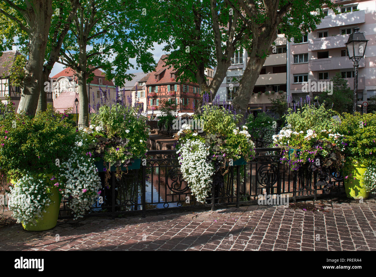 Timbered buildings on bridges hi-res stock photography and images - Alamy