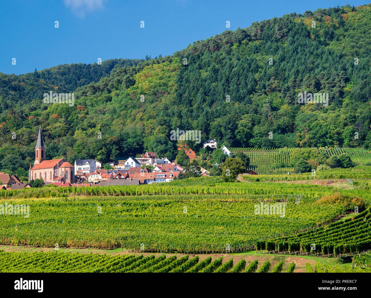 Eguisheim alsace france vineyard hi-res stock photography and images ...