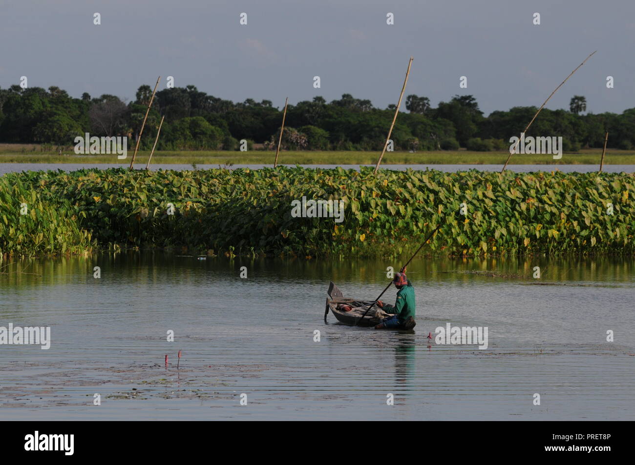 Cambodian Fisherman High Resolution Stock Photography and Images - Alamy