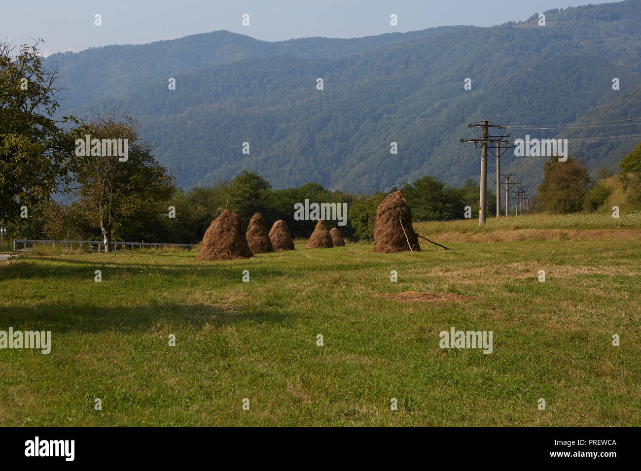 Nature village rural hi-res stock photography and images - Alamy