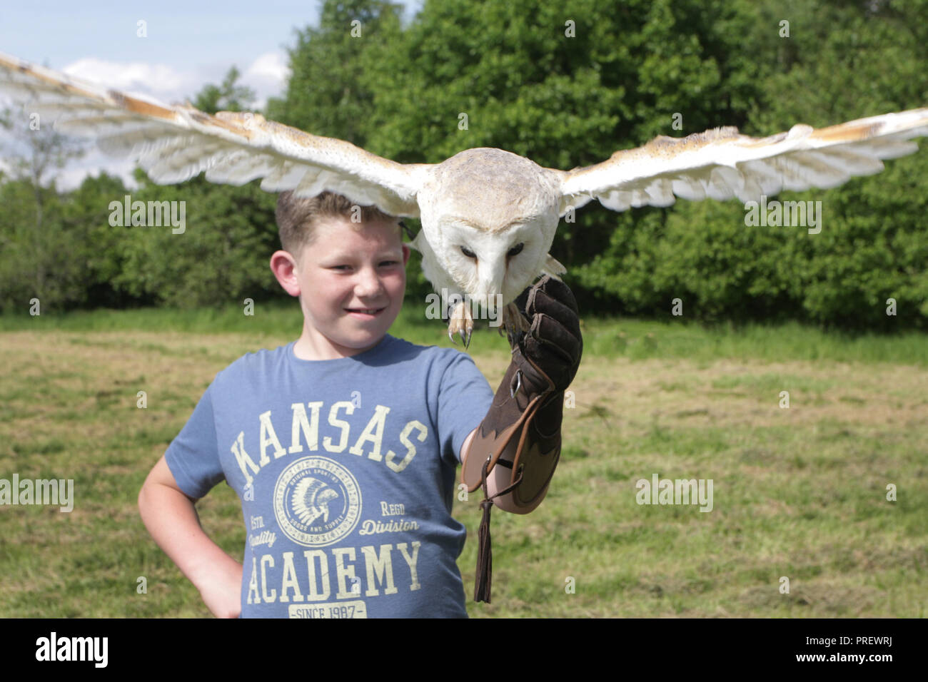 Barn owl handler hi-res stock photography and images - Alamy