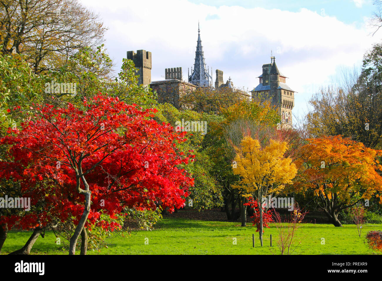 Cardiff Castle, South Wales, UK in the autumn sunshine Stock Photo - Alamy