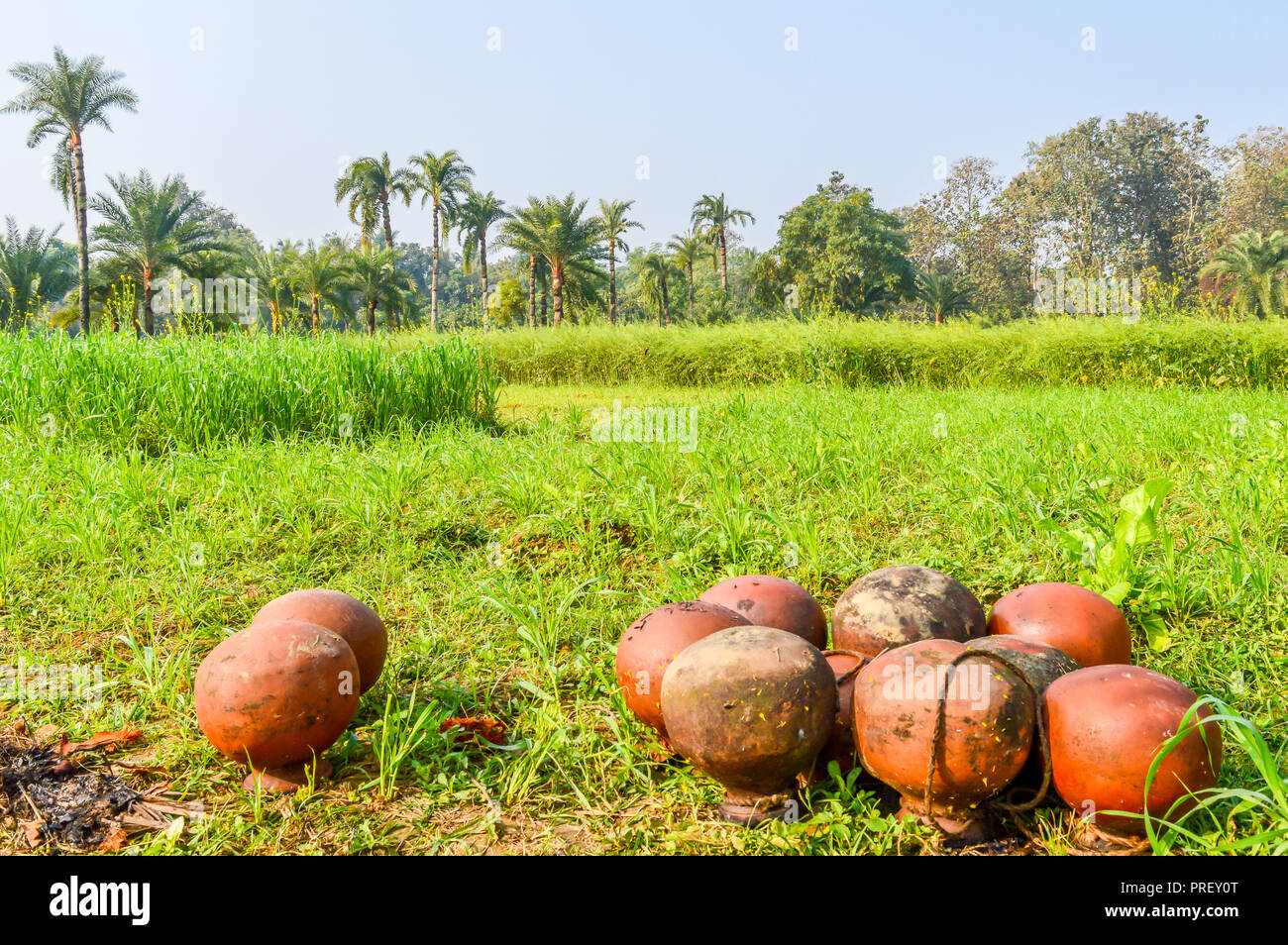 Dates fruit container hi-res stock photography and images - Alamy