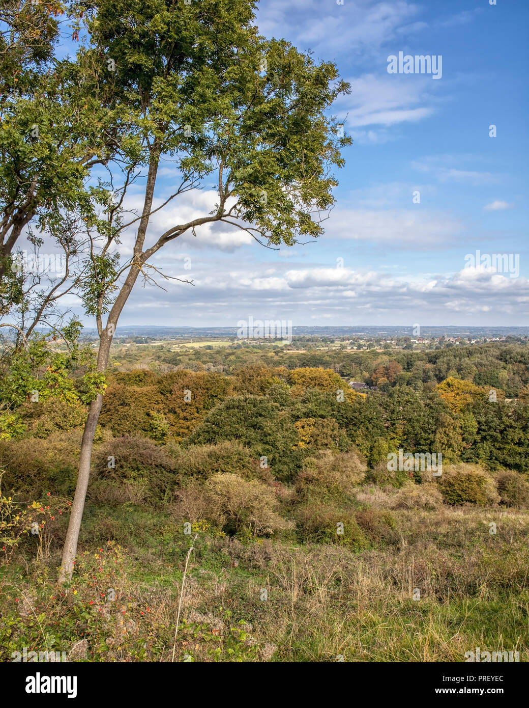 Hurstpierpoint hi-res stock photography and images - Alamy