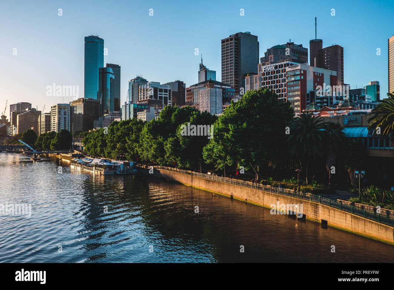 Melbourne city skyline palm tree hi-res stock photography and images ...