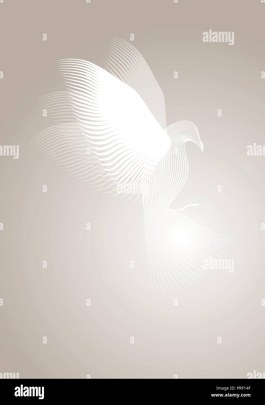 Magic dove made with lines on misty background. Vector illustration ...